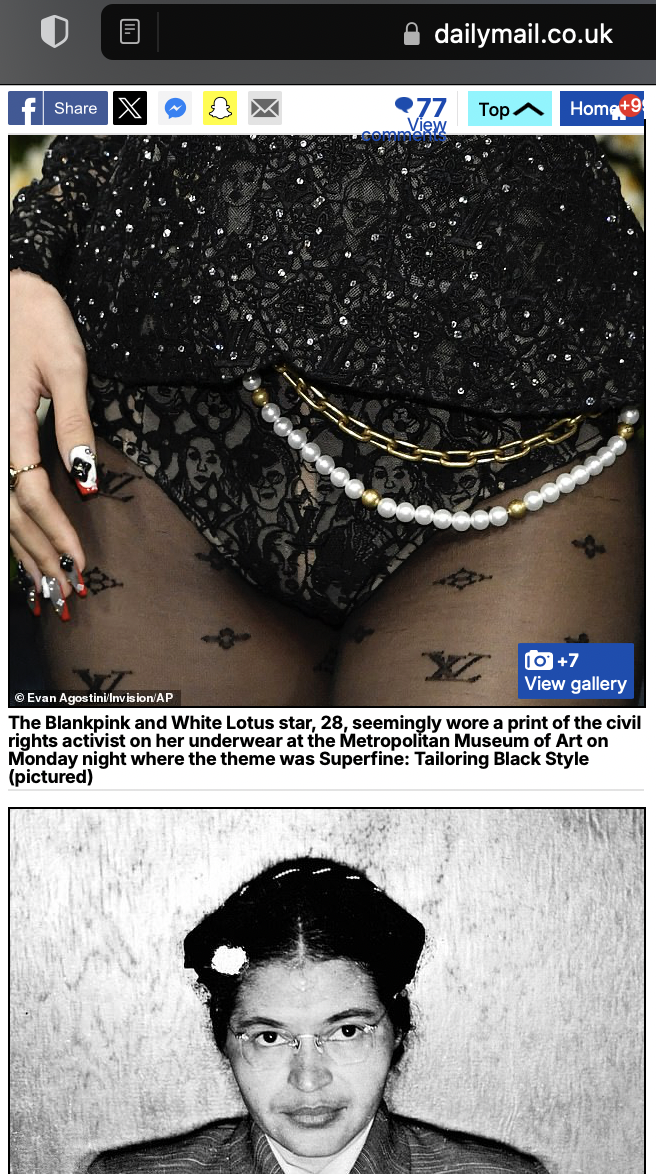 Lisa's Underwear & Rosa Parks? Mystery Solved | Freepress.org